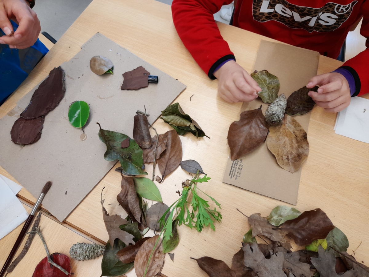 LIFE BEETLES Educational Activities - Scholar community | Life Beetles ...