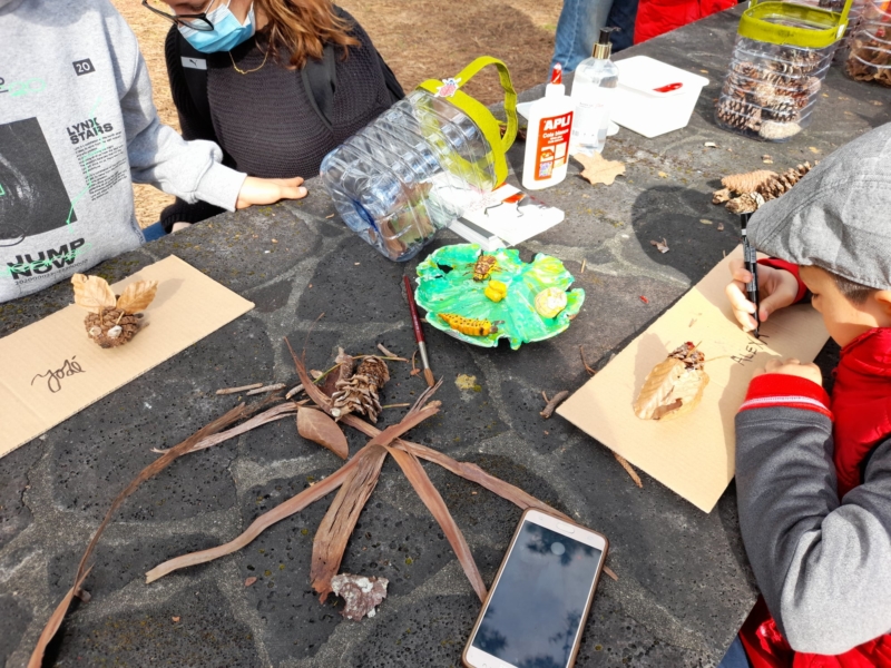 Discovering Easter Beetles in Pico Island | Life Beetles Azores