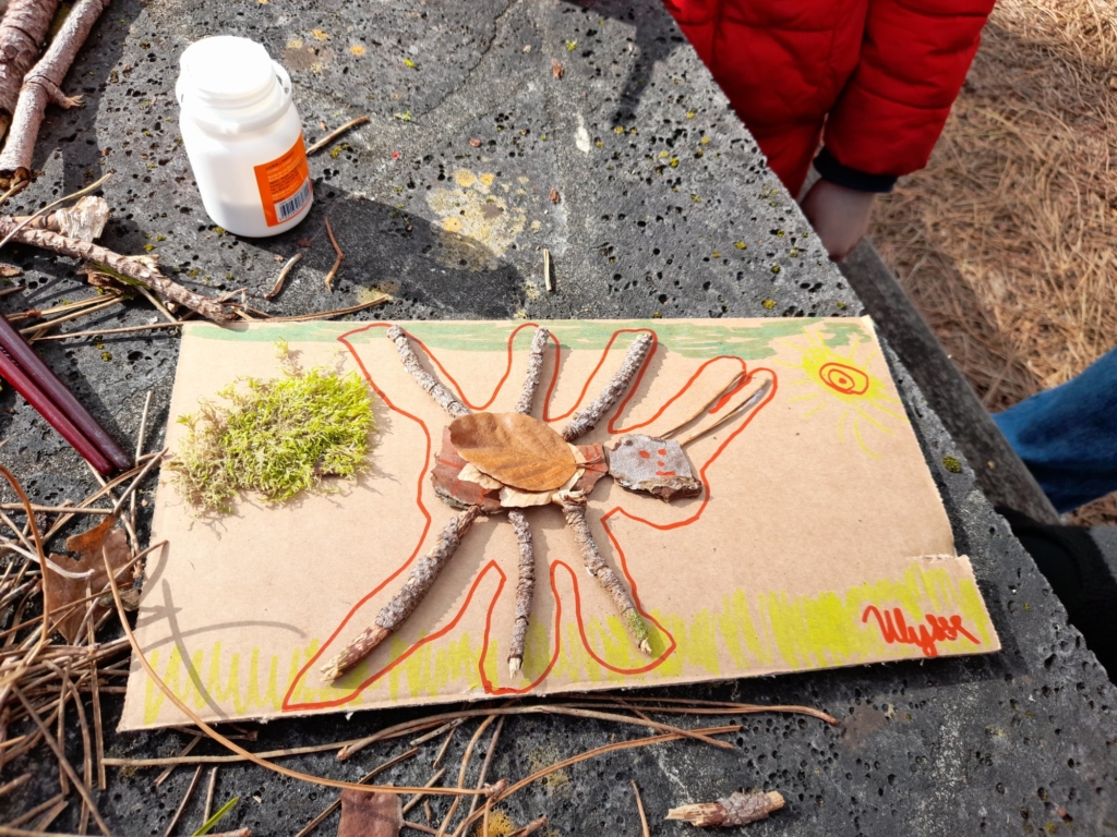 Discovering Easter Beetles in Pico Island | Life Beetles Azores