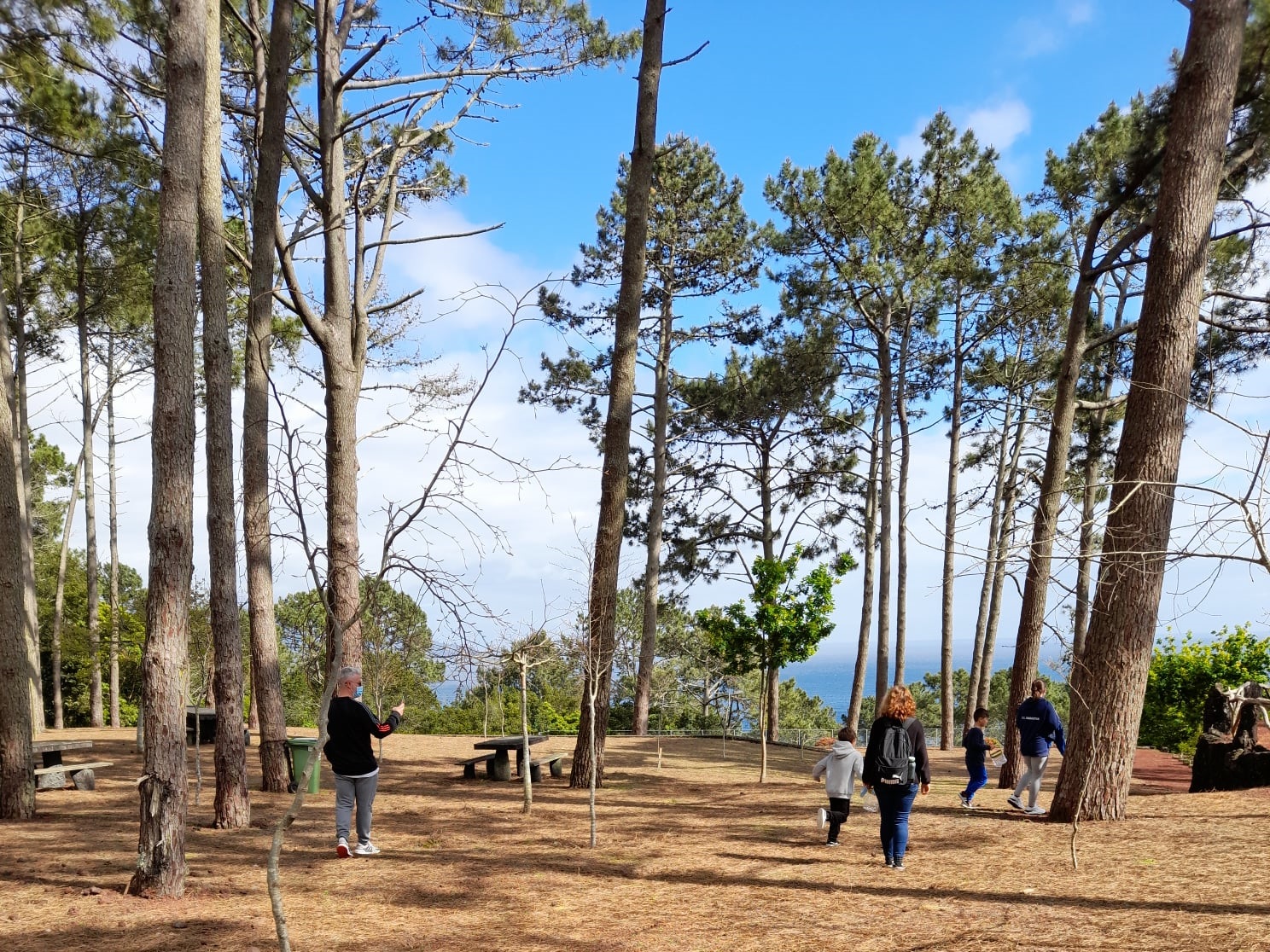Discovering Easter Beetles in Pico Island | Life Beetles Azores