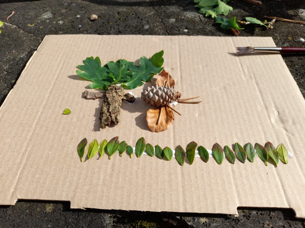 Discovering Easter Beetles in Pico Island | Life Beetles Azores