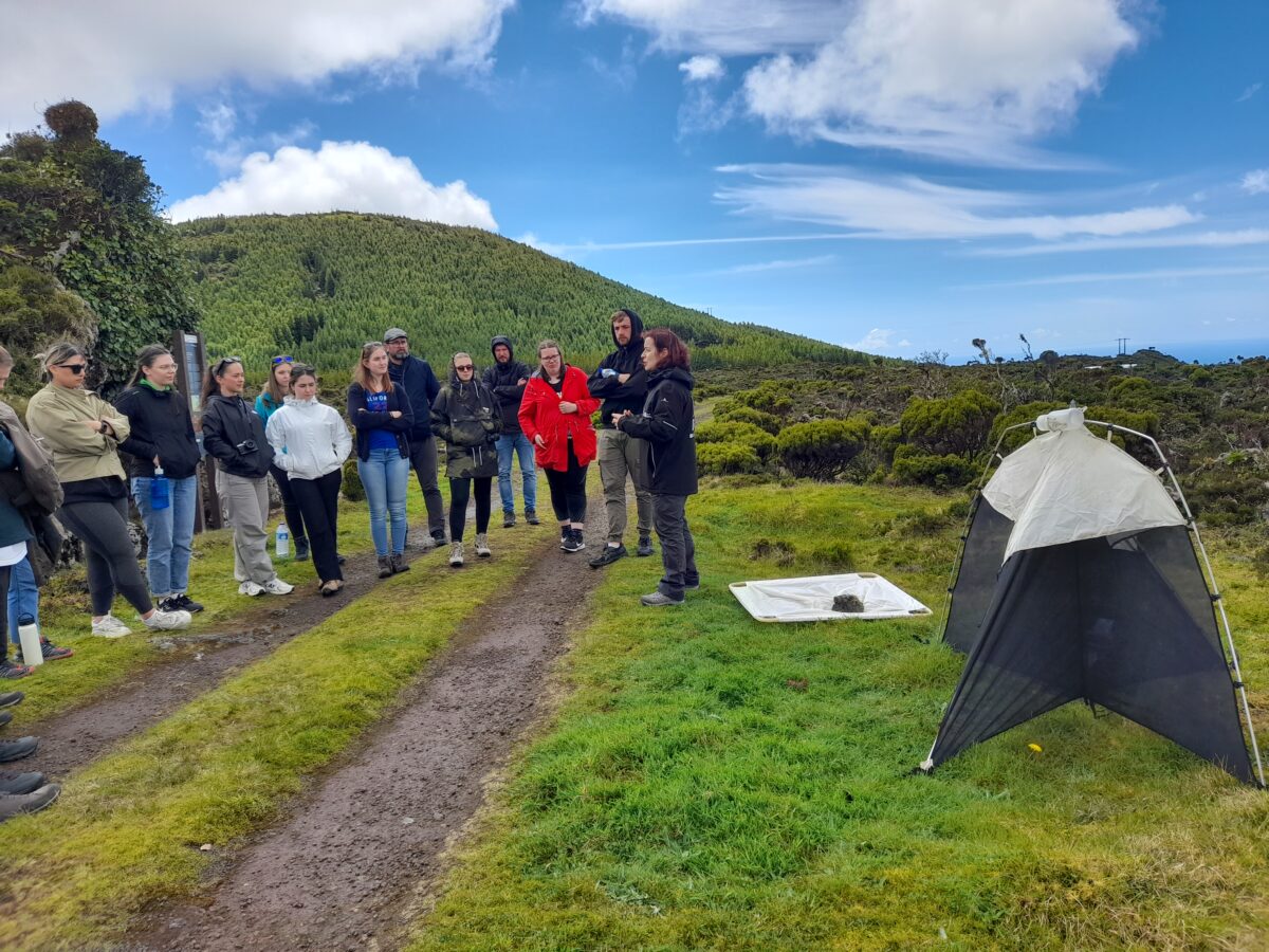 Environmental Education | Life Beetles Azores