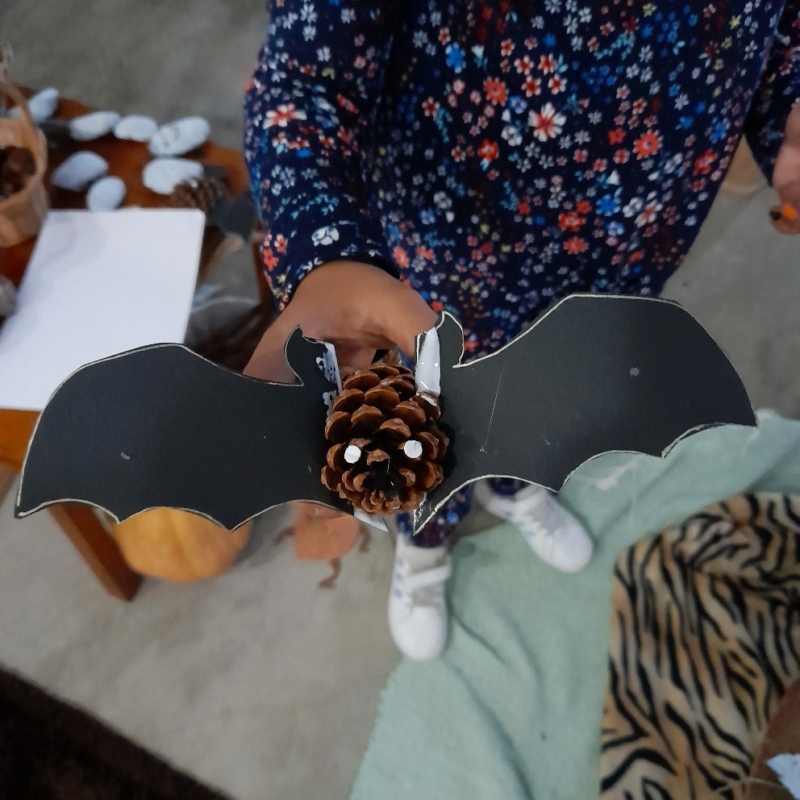 The insects “invaded” Flores and Pico | Life Beetles Azores