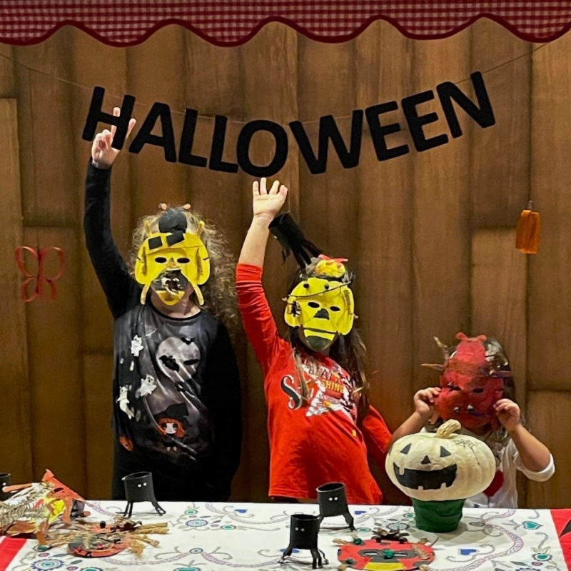 The insects “invaded” Flores and Pico | Life Beetles Azores