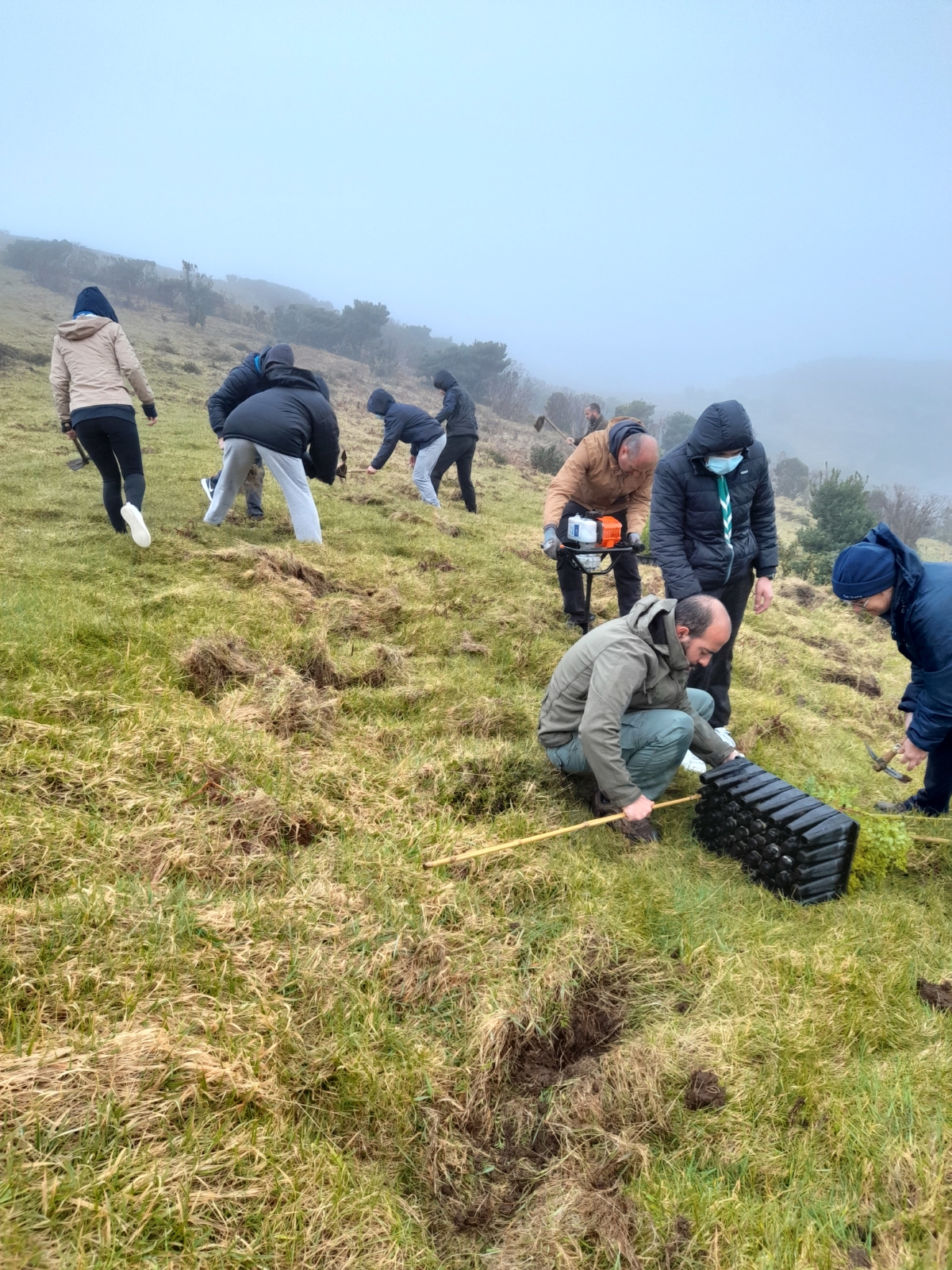"Discover to preserve our Wetlands" activity helps to reforest Lagoa do ...