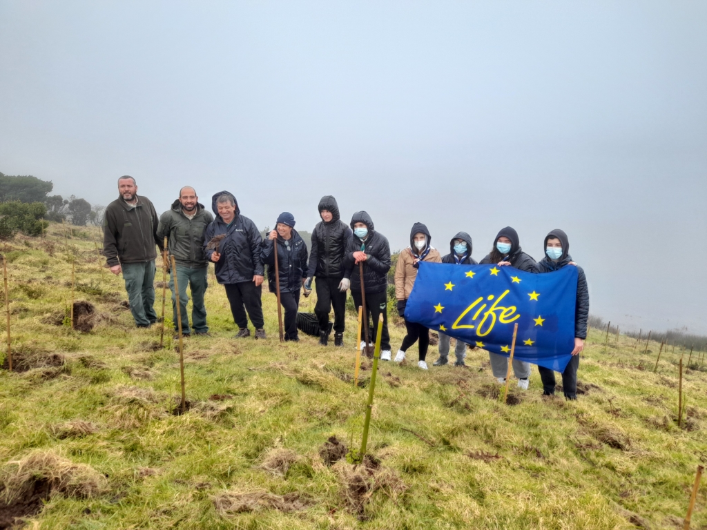 "Discover to preserve our Wetlands" activity helps to reforest Lagoa do ...