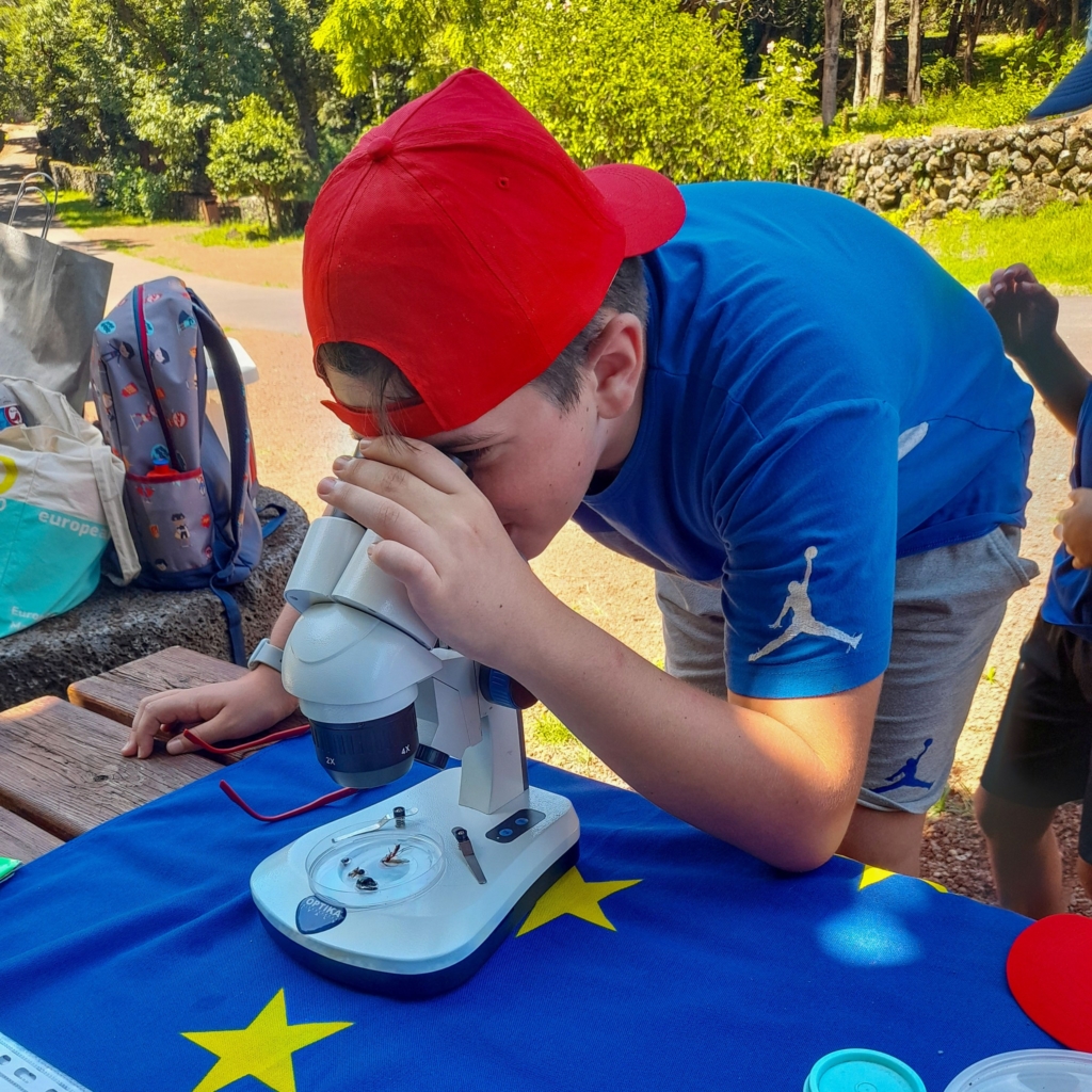 Environmental Education | Life Beetles Azores