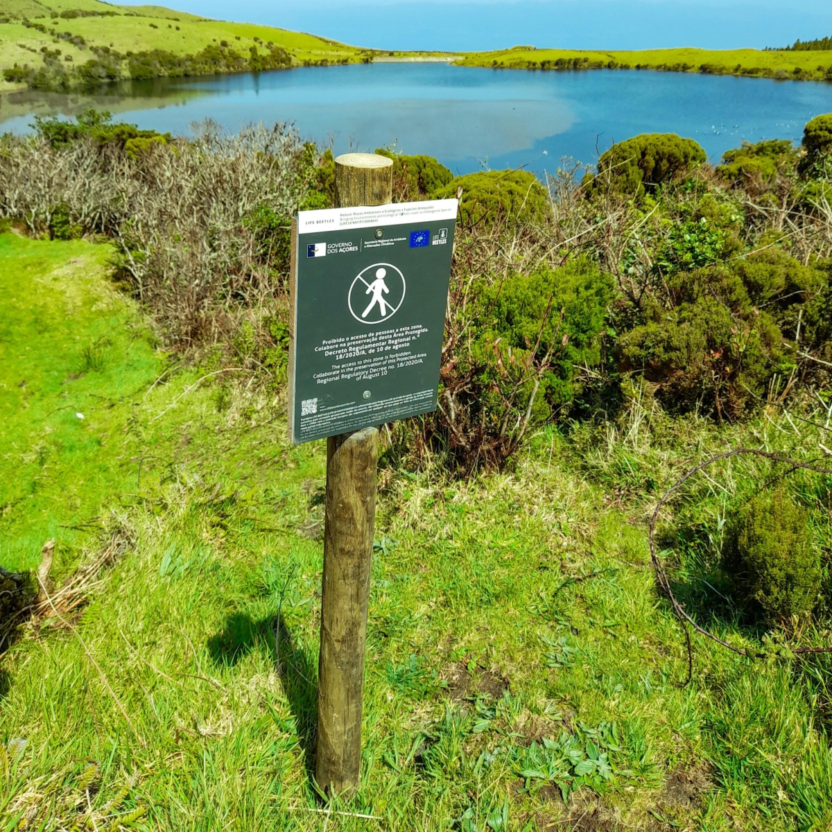 Colocação de sinalética preventiva na Lagoa do Caiado | Life Beetles Azores
