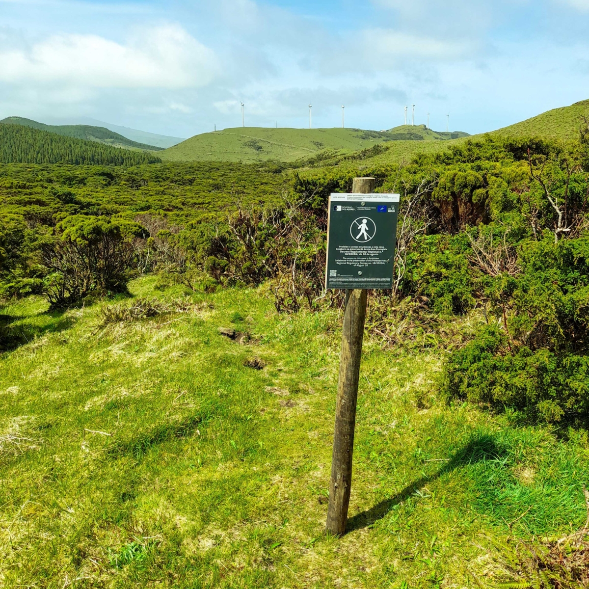 Colocação de sinalética preventiva na Lagoa do Caiado | Life Beetles Azores