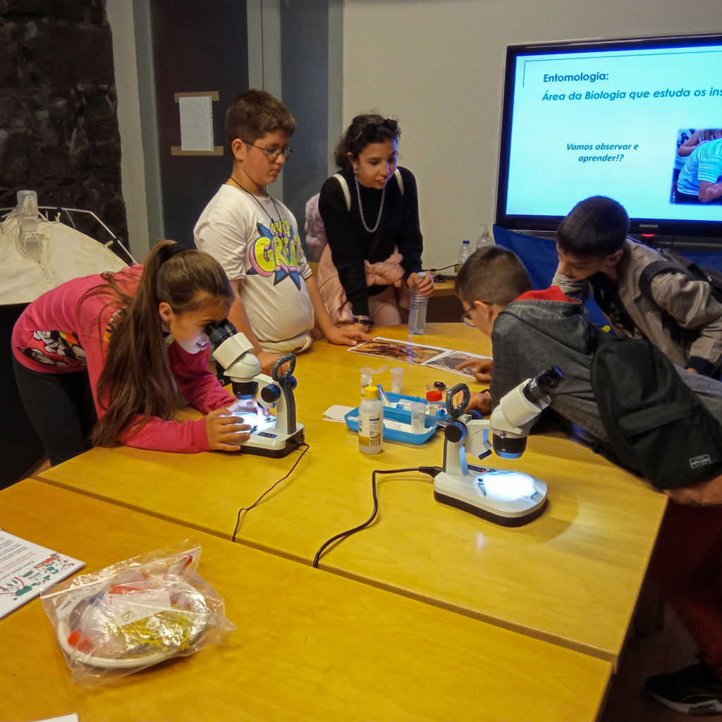 Feeling Pico, feeling the insects | Life Beetles Azores